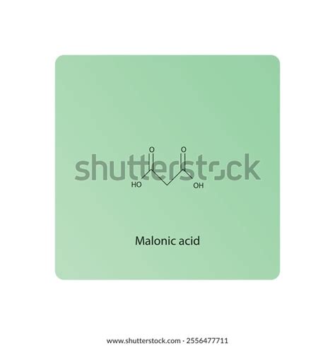 Malonic Acid Skeletal Structure Diagramaliphatic Acid Stock Vector Royalty Free 2556477711