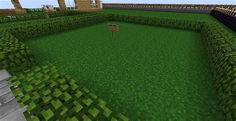 How To Get Double Tall Grass In Minecraft Give P Doubleplant 1 2