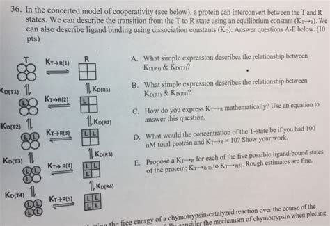 36 In The Concerted Model Of Cooperativity See