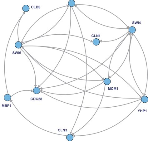 A Real Biological Network Of Yeast Cell Cycle From The Kegg Database Download Scientific