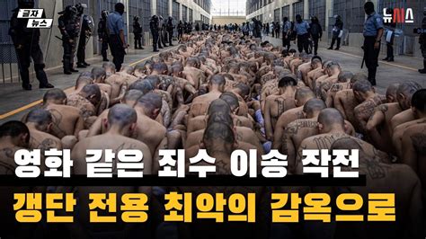 영화 같은 죄수 이송 작전 갱단 전용 최악의 감옥으로 Youtube