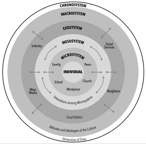 Ecological Systems Theory Examples