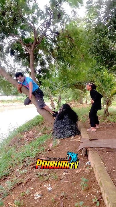 Bocil sakti selamatkan dede gemes yang di kejar grandong sampai naik pohon - YouTube
