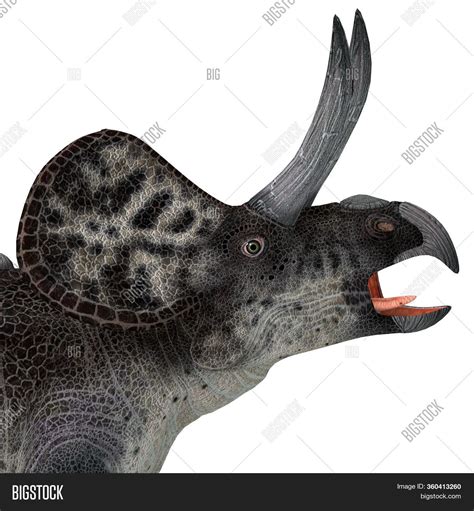 Zuniceratops Scan Code