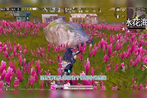 和平精英：只用“花海物资 空投”吃鸡，止痛药都没有，真穷！