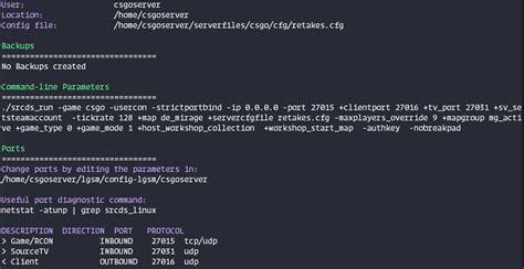 Multiple Game Servers Same Instance Issue GameServerManagers LinuxGSM GitHub