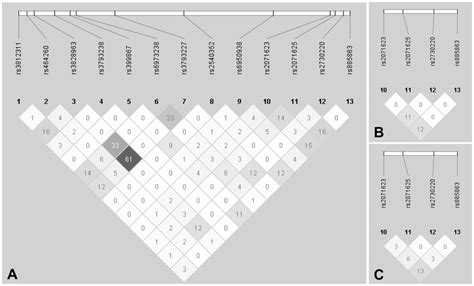 Linkage Disequilibrium Ld Patterns For Single Nucleotide Download Scientific Diagram