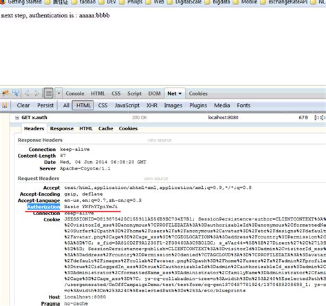 Basic Authentication认证 Csdn博客