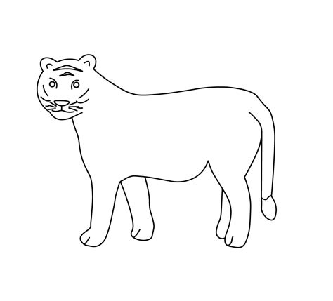 How To Draw A Tiger Step By Step Crafty Morning