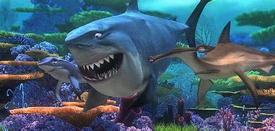 Bruce Anchor And Chum In Finding Nemo Bruce Well Well See Ye Next