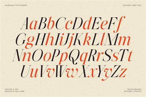 The Portray Elegant Serif Typeface 34 Images Behance