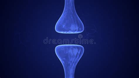 Neuron Receptor And Synapse Activity Medical Concept Stock Image