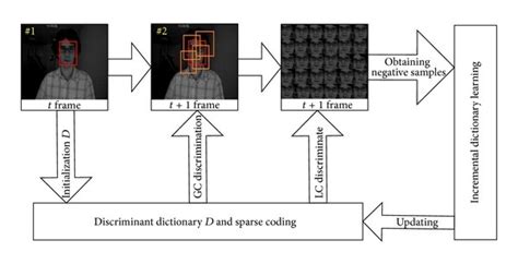 Diagram Of Targets Tracking Via Sparse Representation Global And Local