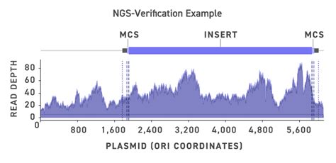 High Quality Gene Synthesis Twist Bioscience