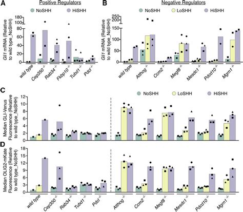 clonal lines carrying deletions in top hits identify regulators of hh