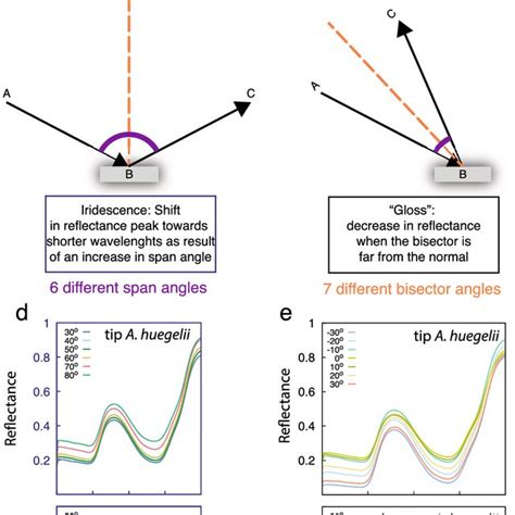Schematic Of The Goniometer Setup A Employed To Measure Spectra Download Scientific Diagram