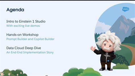 Raghwendra Ji Chaubey On Linkedin Builtwitheinstein Salesforce Ai