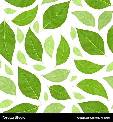 Leaf Background Pattern