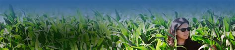 Research On The Farm Protocol Template Manitoba Crop Alliance