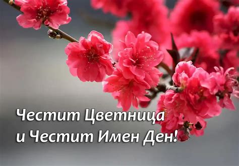 Картички за Цветница с пожелания Празници и картички