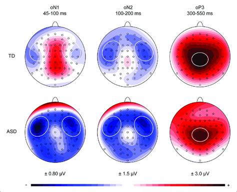 Scalp Potential Maps Of The Group Averaged Visual Corrected Auditory