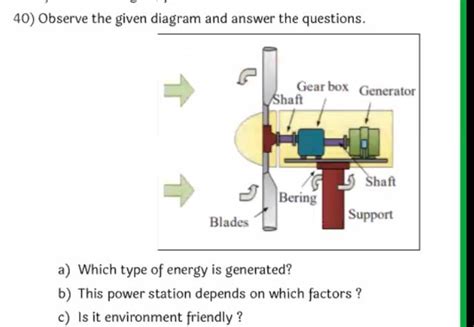 40 Observe The Given Diagram And Answer The Questionsa Which Type Of
