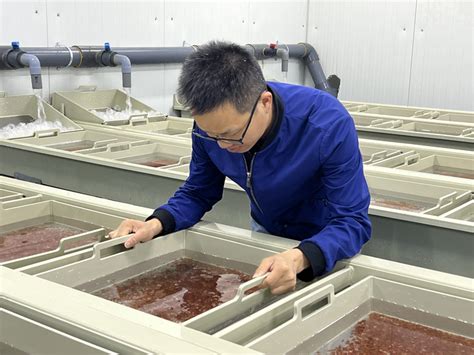 案例分享沙特四套三文鱼循环水孵化系统 广州中航一直致力于提供安全健康高效的新型养殖模式专业从事工厂化循环水养殖系统的设计及制造 蛋白质分离器 育苗原水处理系统 滚筒微滤机 养殖