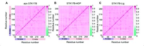 The Generalized Correlation Gc Ij Matrix Of Stk17b For The Apo