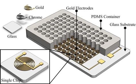 A Schematic View Of Proposed 96 Well Electroporation Plate Huang Et Download Scientific A Schematic View Of Proposed 96 Well Electroporation Plate Huang Et Download Scientific