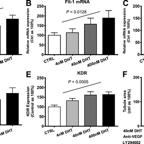 Proangiogenic Effects Of Dht In Male Ecs Is Vegf Dependent A