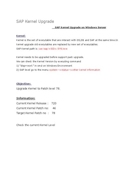 sap kernel upgrade pdf