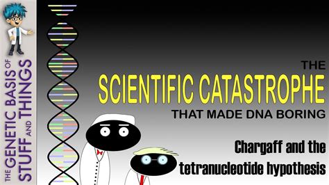 The “scientific Catastrophe” That Made Dna Boring Chargaff Versus The Tetranucleotide