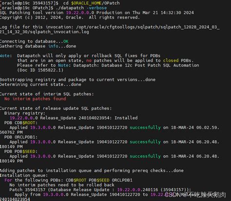 Oracle19c单实例补丁升级和回退19c Patch补丁 Csdn博客