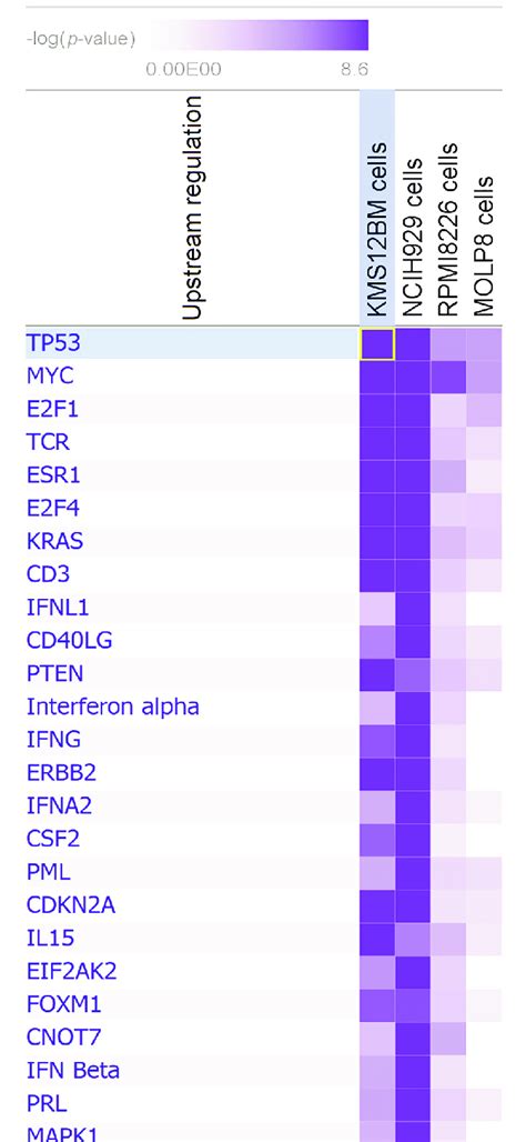 Upstream Regulator Analysis Of Upstream Transcription Regulators