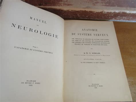 Old Anatomy Of The Nervous System Book Brain Nerve Sense Reflex Spine Medical 4598932755