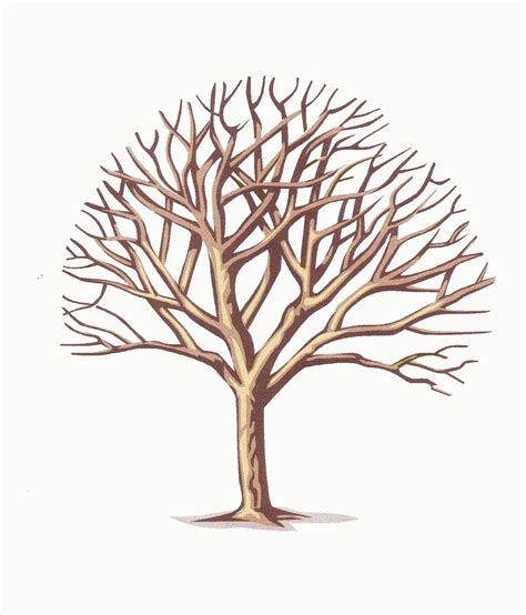 Free Tree Branches Download Free Tree Branches Png Images Free Free Tree Branches Download Free Tree Branches Png Images Free