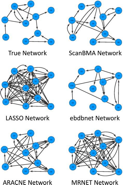 Dream4 10 Gene Network Visual Comparison Download Scientific Diagram