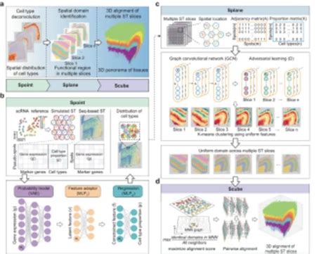 On Linkedin Ustc Develops A New Deep Learning Based Analysis Toolkit For Spatial