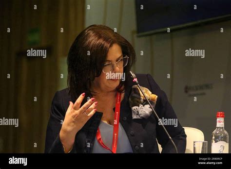 Elena Dybova Vice President Chamber Of Commerce And Industry Of The