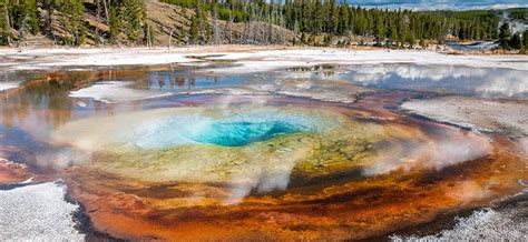 How Archaea And Bacteria Differ And The Roles Of These Microorganisms