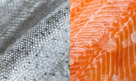 Inarctica on Behance