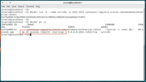 How To Deploy An Oracle Database 19c Docker Container Sean Stacey