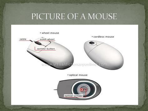 PPT INPUT DEVICES PowerPoint Presentation Free Download ID