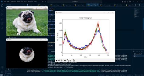 Shreejata Gupta On Linkedin Python Ai Ml Histogram Analyse Image