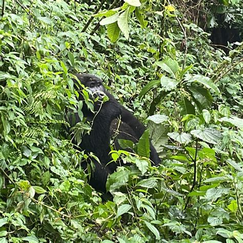 Lifetime Africa Expeditions All You Should Know Before Going 2026