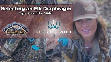 How To Select An Elk Diaphragm With Kristy Titus Elk Call Tips Youtube