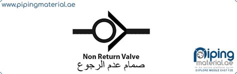 Stainless Steel Non Return Valve 304316cf8m Nrv Valve Suppliers