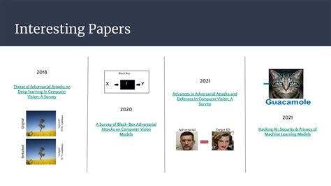 Presentation About Adversarial Image Attacks Pdf
