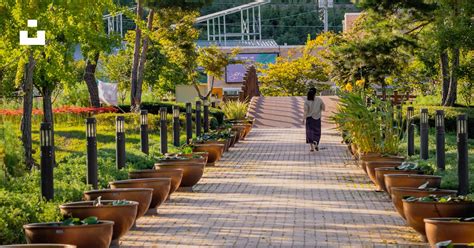 양쪽에 나무와 식물이 있는 벽돌 길을 걷는 사람 사진 Unsplash의 무료 정원 이미지