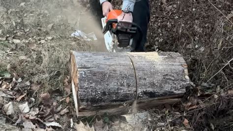 Stihl Ms 362 Chainsaw Review Forestry Reviews